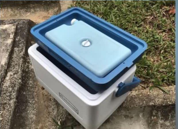 Vintage Thermos Cooler Box, Furniture & Home Living, Home Improvement ...