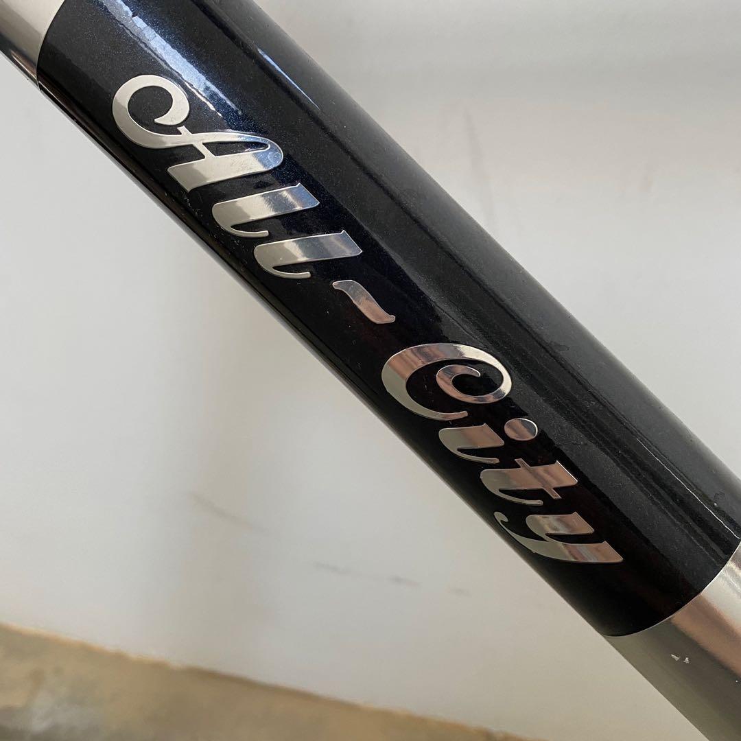 All city thunderdome frameset with rinpoch rc3230 disc track crankarms, Sports Equipment ...