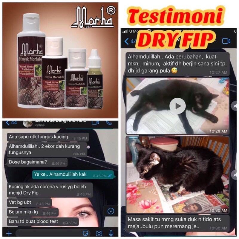 Minyak Herba Morhabshi, Health & Nutrition, Health Supplements, Vitamins & Supplements on Carousell