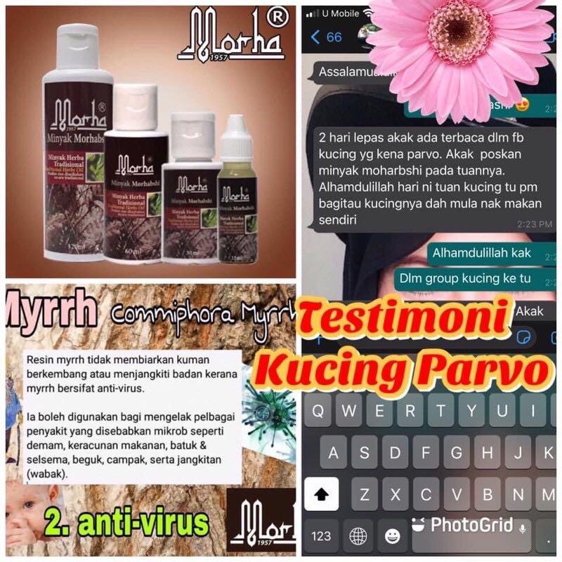 Minyak Herba Morhabshi, Health & Nutrition, Health Supplements, Vitamins & Supplements on Carousell