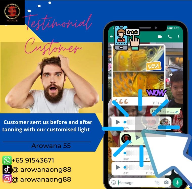 Pll 36x2 red arowana tanning light, Pet Supplies, Health & Grooming on ...