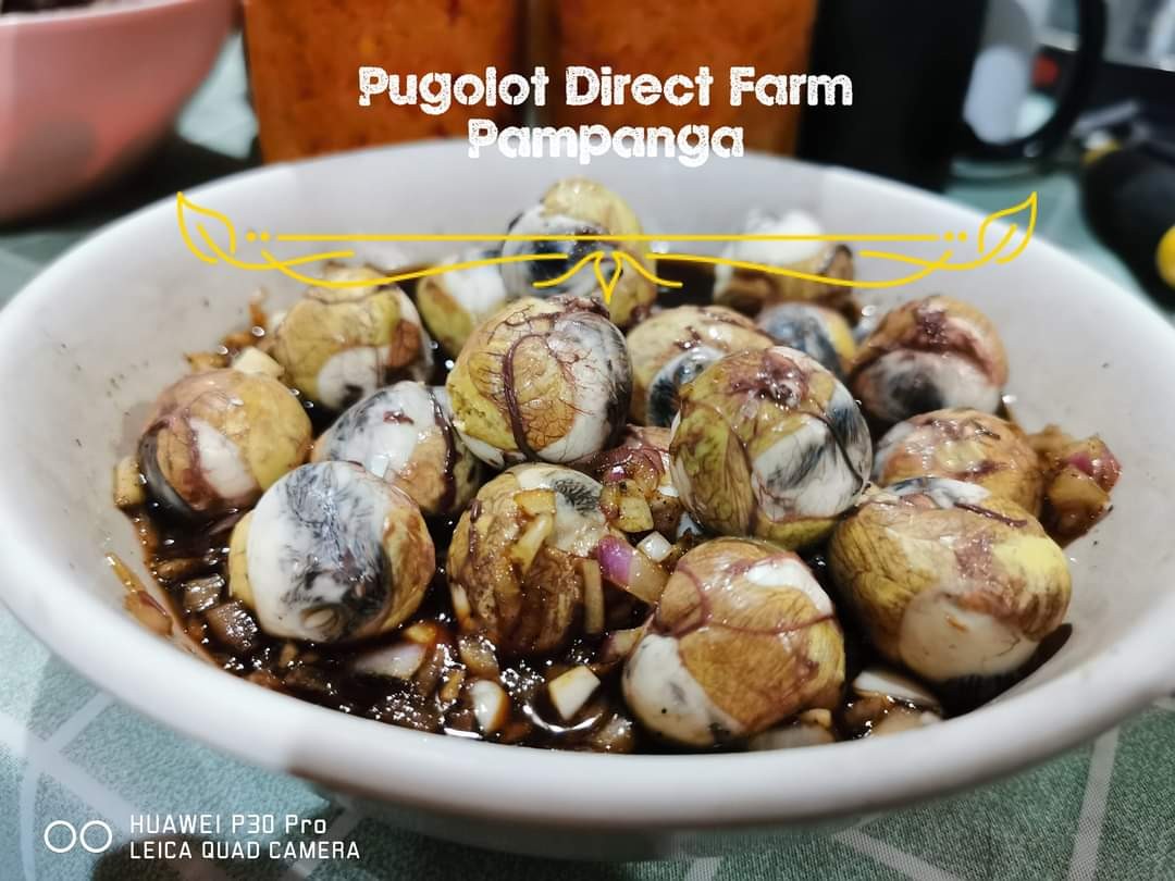PUGOLOT, Food & Drinks, Fresh Produce on Carousell