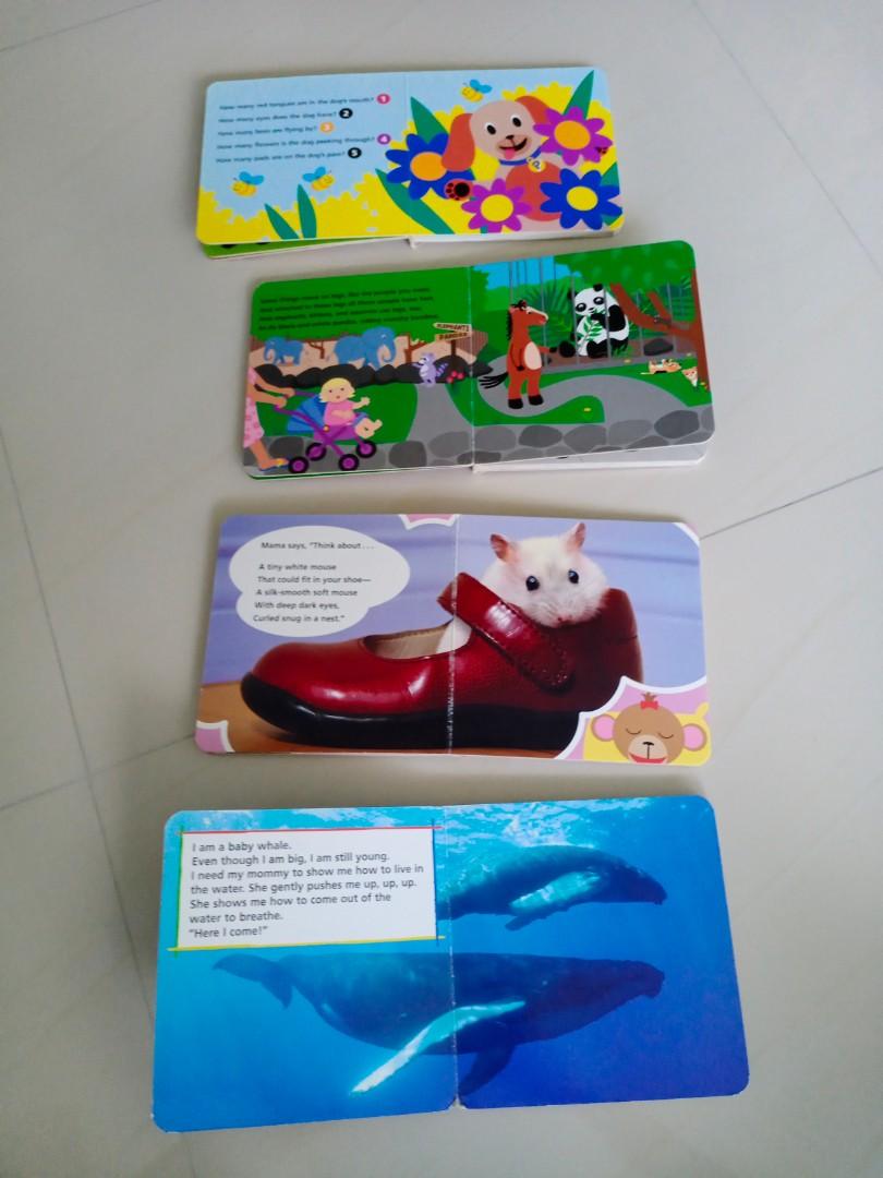 Baby Einstein baby Toddler children board book bundle, colors, numbers ...