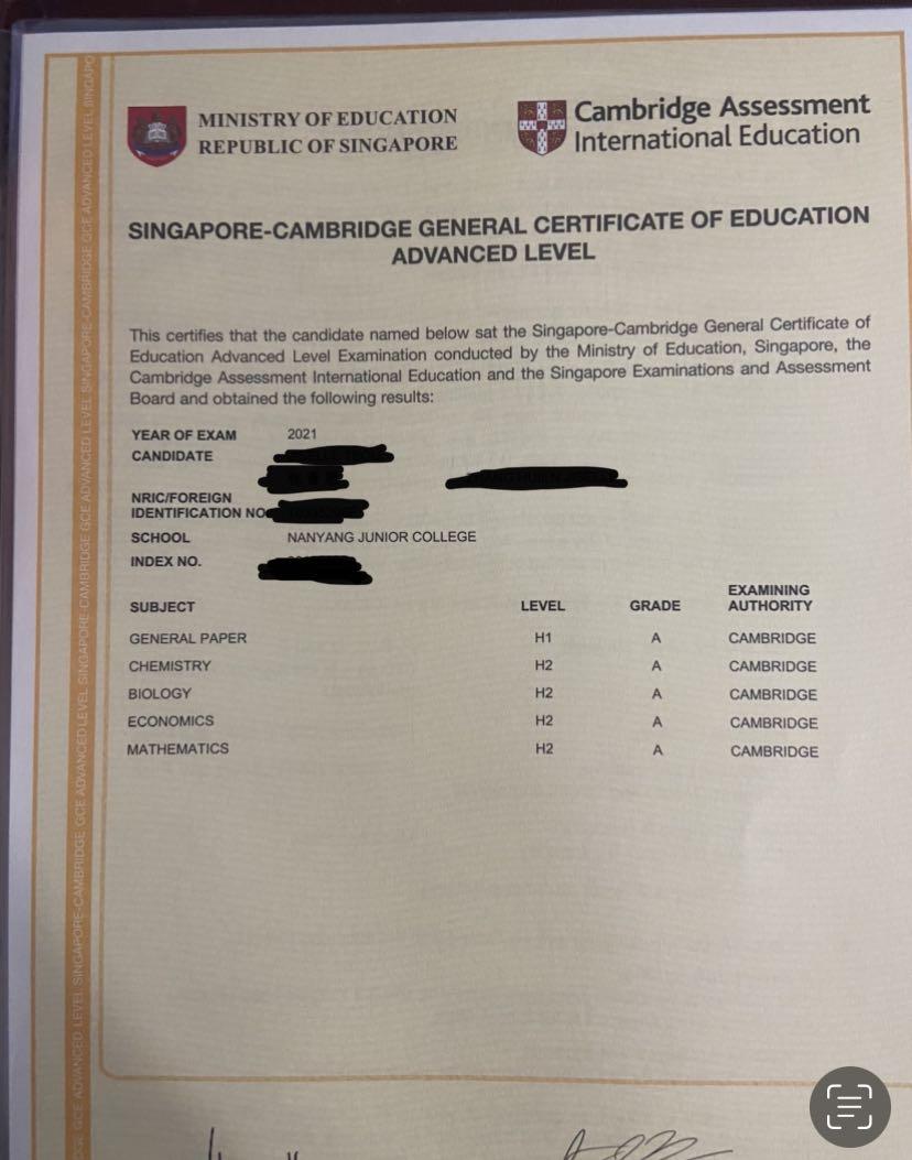 GP A-Level Essay Example Books, Hobbies & Toys, Books & Magazines ...