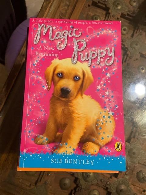 Magic Puppy series, Hobbies & Toys, Books & Magazines, Children's Books ...