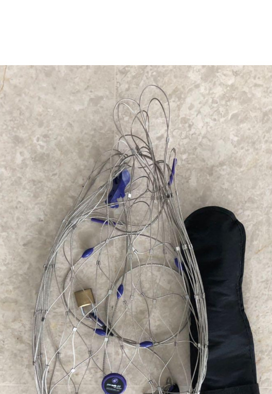 PACsafe backpack security mesh, Sports Equipment, Hiking & Camping on ...