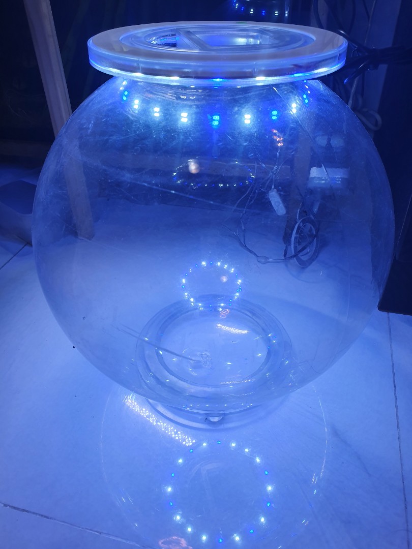 Spherical Fish tank FREE COURIER, Pet Supplies, Homes & Other Pet ...