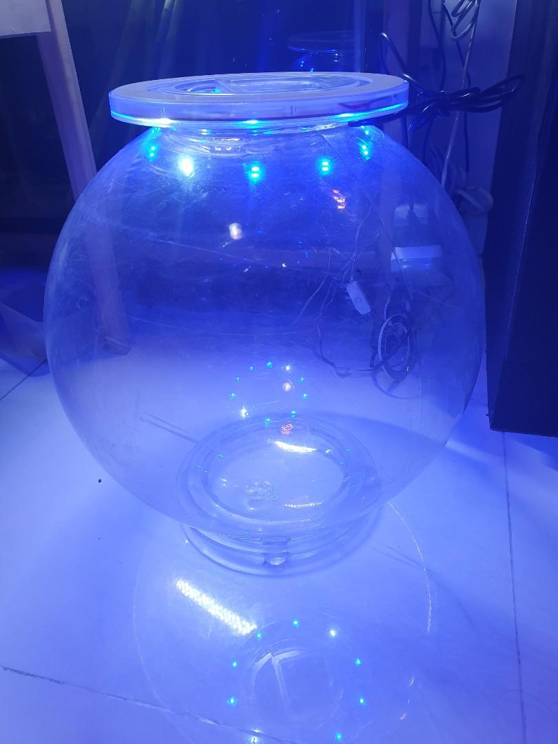 Spherical Fish tank FREE COURIER, Pet Supplies, Homes & Other Pet ...