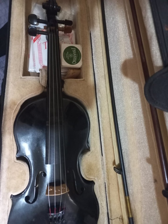 Student Violin Cecilio Black CVN, Hobbies & Toys, Music & Media ...