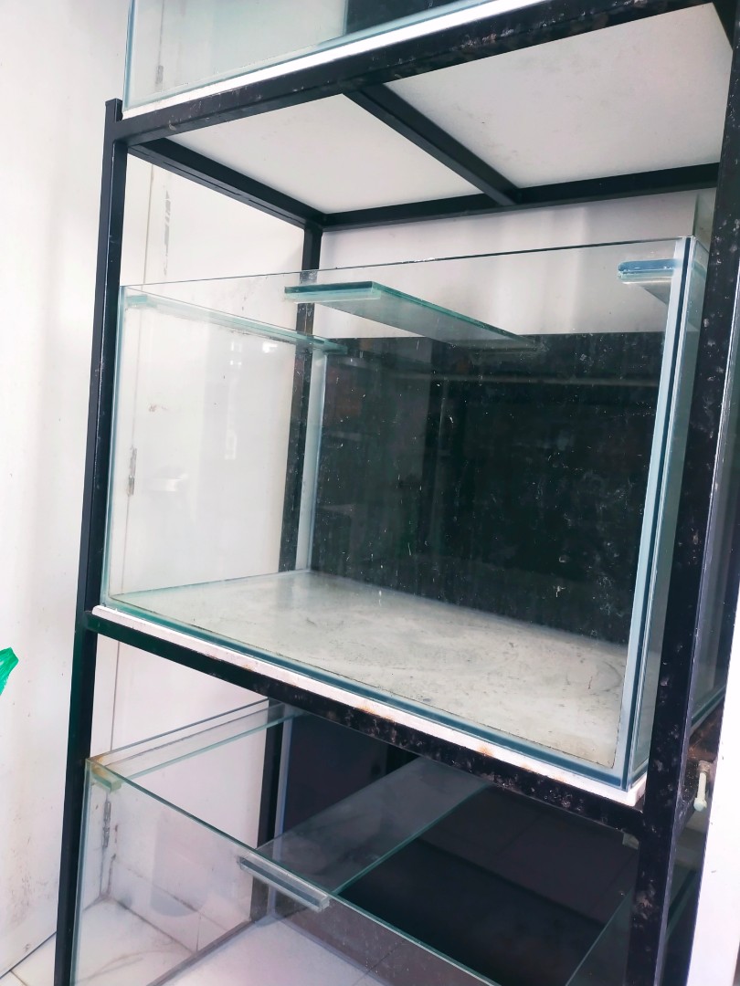 3 tier 2.5f X 1.5f Tank Culture Fish tanks, Pet Supplies, Homes & Other ...