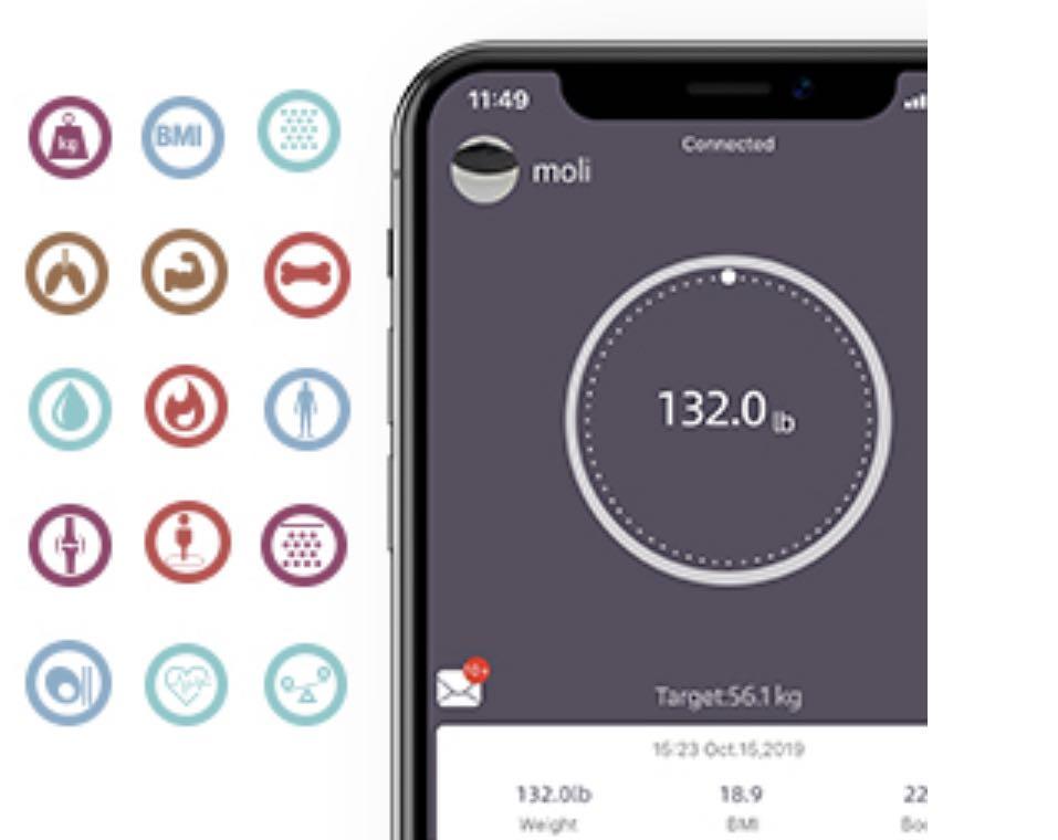 POSTURE Body Fat Scale, Posture Extra Large Display Digital Bathroom ...