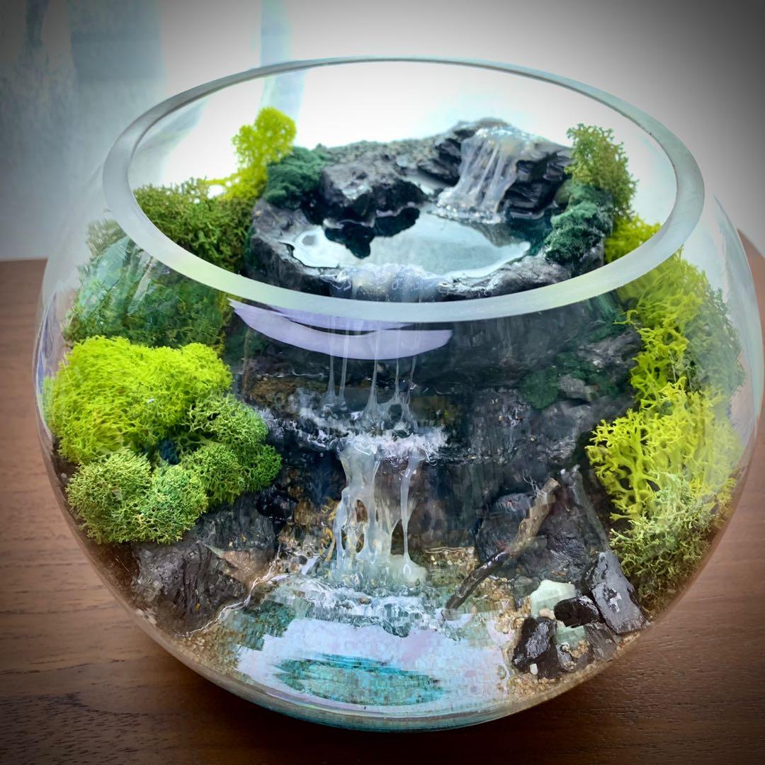 Dry moss terrarium with waterfall scene , Hobbies & Toys, Stationery ...