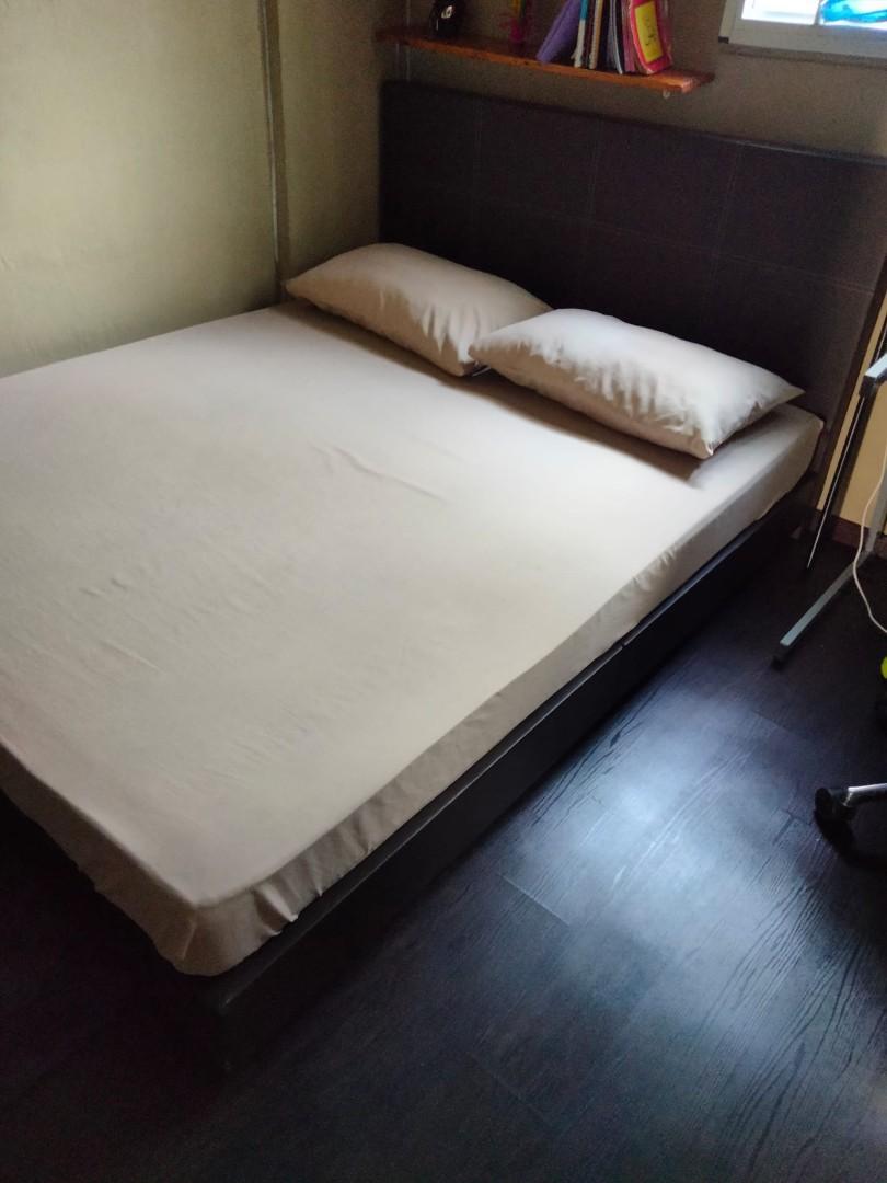free bed frame, Furniture & Home Living, Furniture, Bed Frames ...
