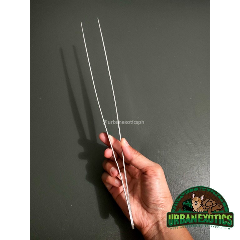 Long Metal Stainless Steel Tweezer Straight 30cm. (for Plants, Insects ...