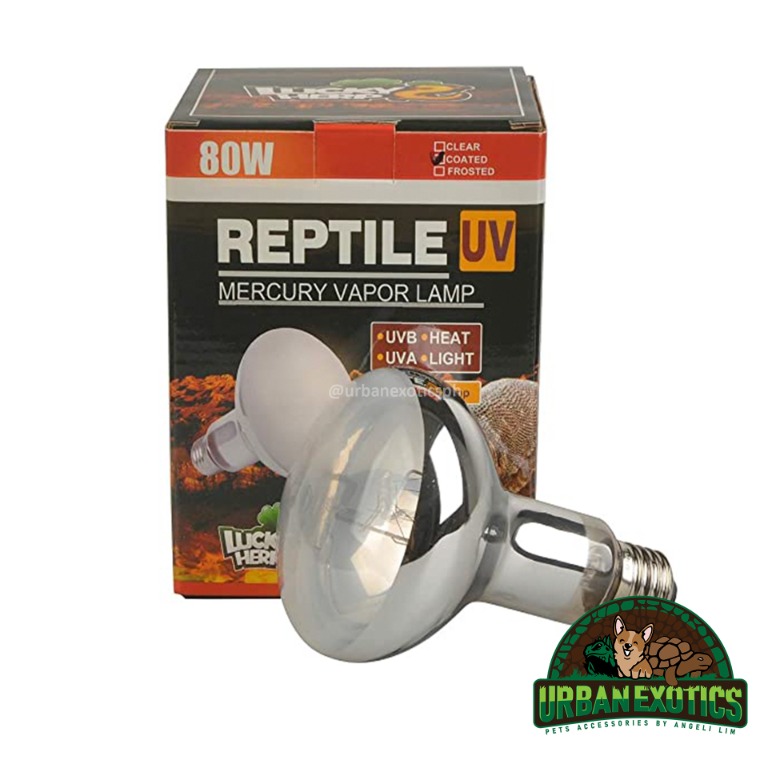 Lucky Herp R95 Reptile Mercury Vapor UVA/UVB Bulb in one 80W for Reptile & Aquatic Pet, Pet ...
