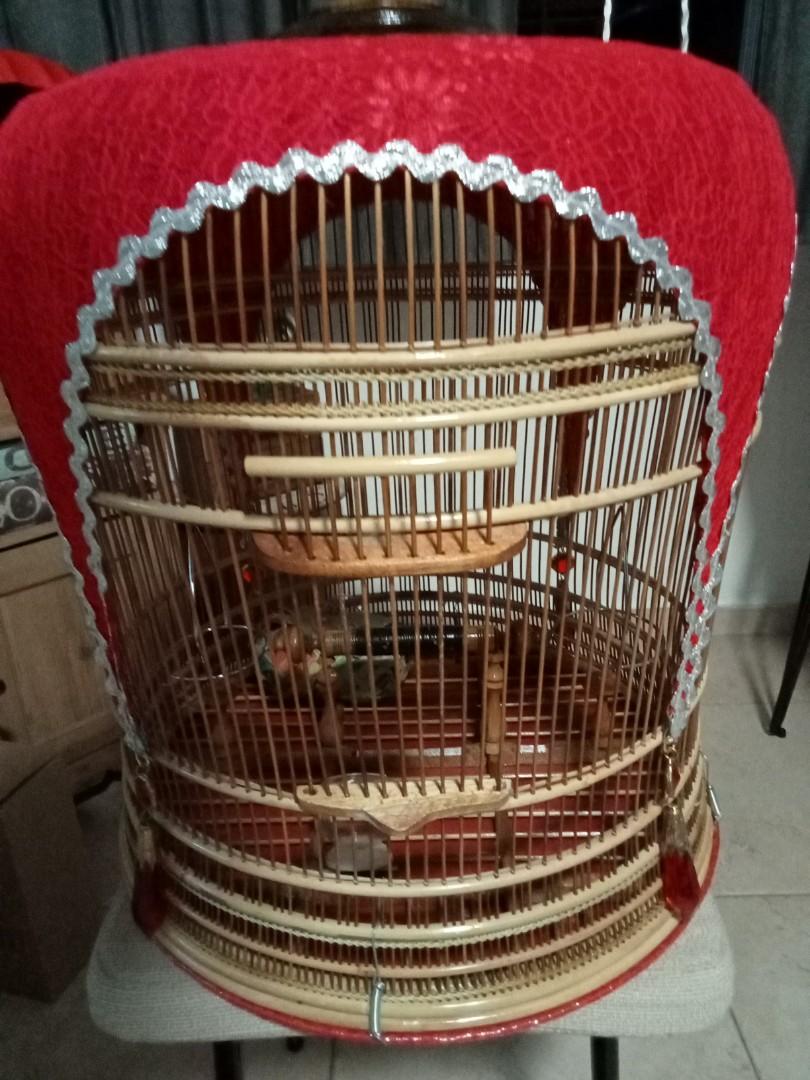 Red bird cage, Pet Supplies, Homes & Other Pet Accessories on Carousell