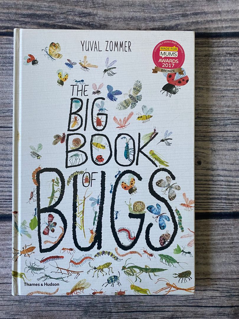 Big Bugs book, Hobbies & Toys, Books & Magazines, Children's Books on Carousell
