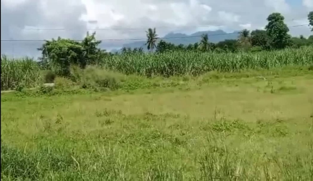 Affordable "1 hectare lots" For Sale | Carousell Philippines