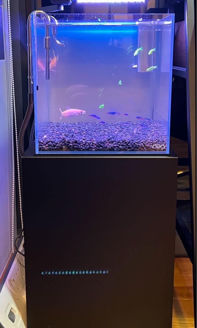 ADA Tank / DOOA Stand / Chihiro Light, Pet Supplies, Homes & Other Pet ...