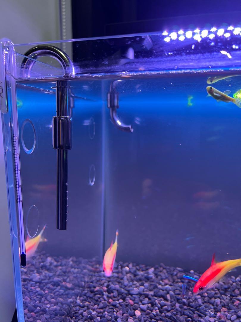 ADA Tank / DOOA Stand / Chihiro Light, Pet Supplies, Homes & Other Pet ...