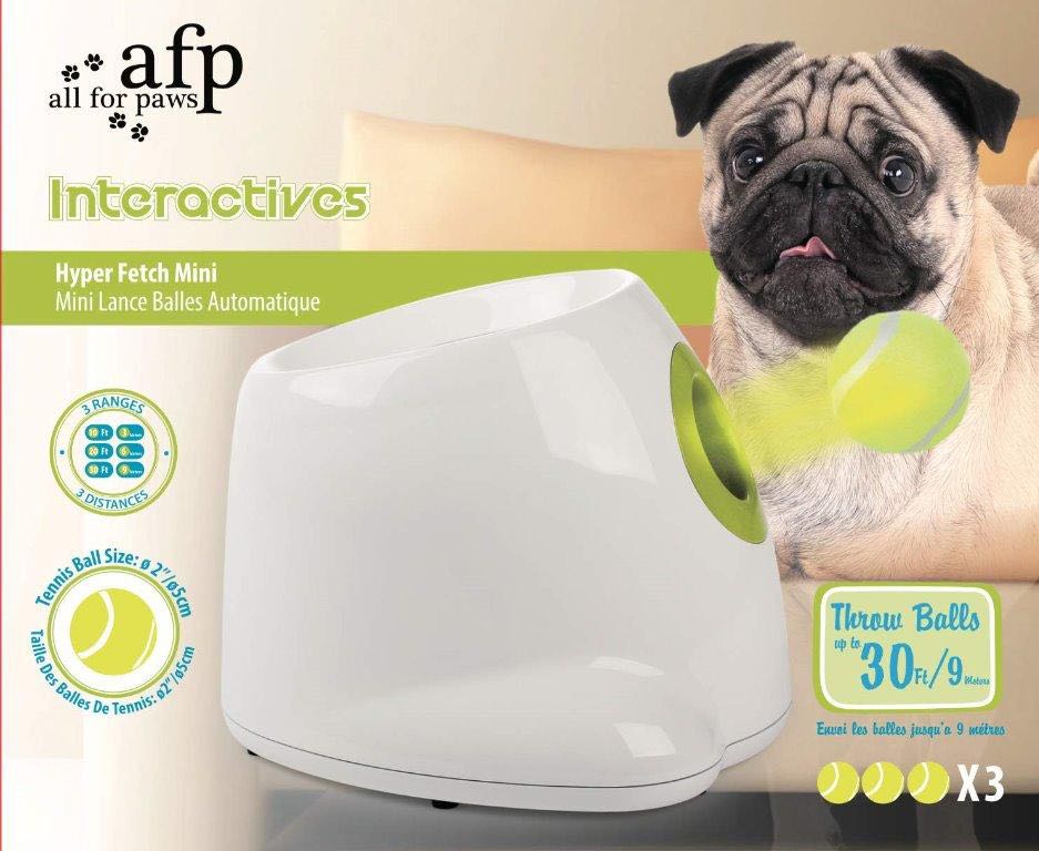AFP All for Paws Interactives Dog Hyper Fetch Mini, Pet Supplies, Homes ...