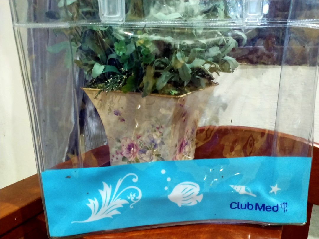 Club Med Tote Bag, Hobbies & Toys, Collectibles & Memorabilia, Vintage ...