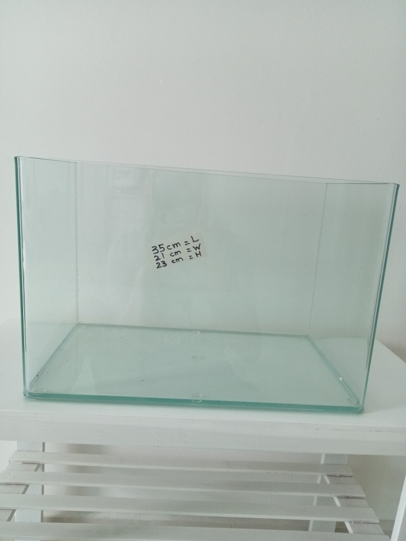 Curved front fish tank, Everything Else on Carousell