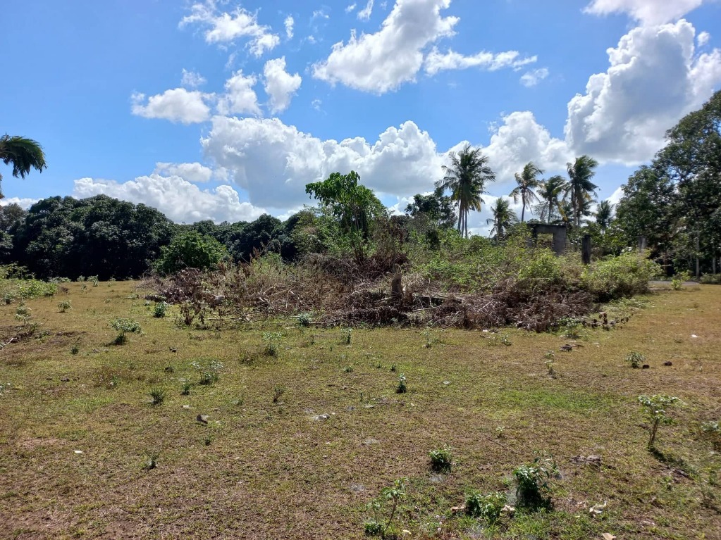 RESIDENTIAL LOT IN BRGY. TINGA, LABAC, BATANGAS CITY, Property, For ...