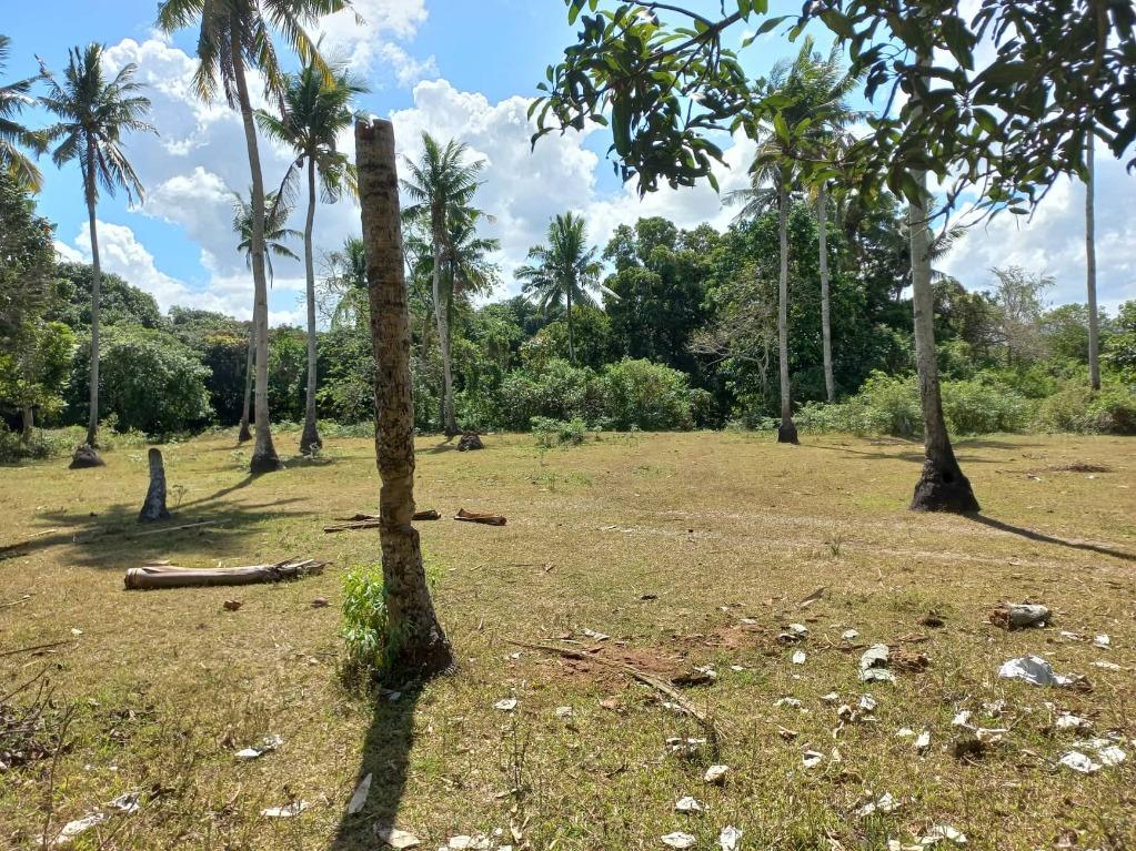 RESIDENTIAL LOT IN BRGY. TINGA, LABAC, BATANGAS CITY, Property, For ...