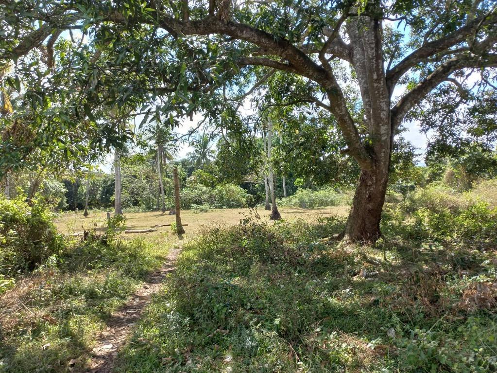 RESIDENTIAL LOT IN BRGY. TINGA, LABAC, BATANGAS CITY, Property, For ...