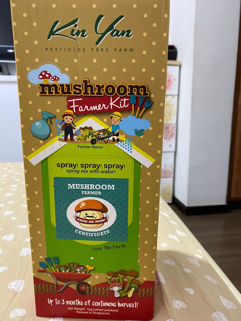 Kin Yan Mushroom Farmer Kit, Food & Drinks, Other Food & Drinks on ...
