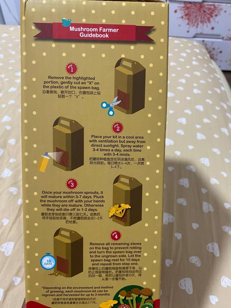 Kin Yan Mushroom Farmer Kit, Food & Drinks, Other Food & Drinks on ...