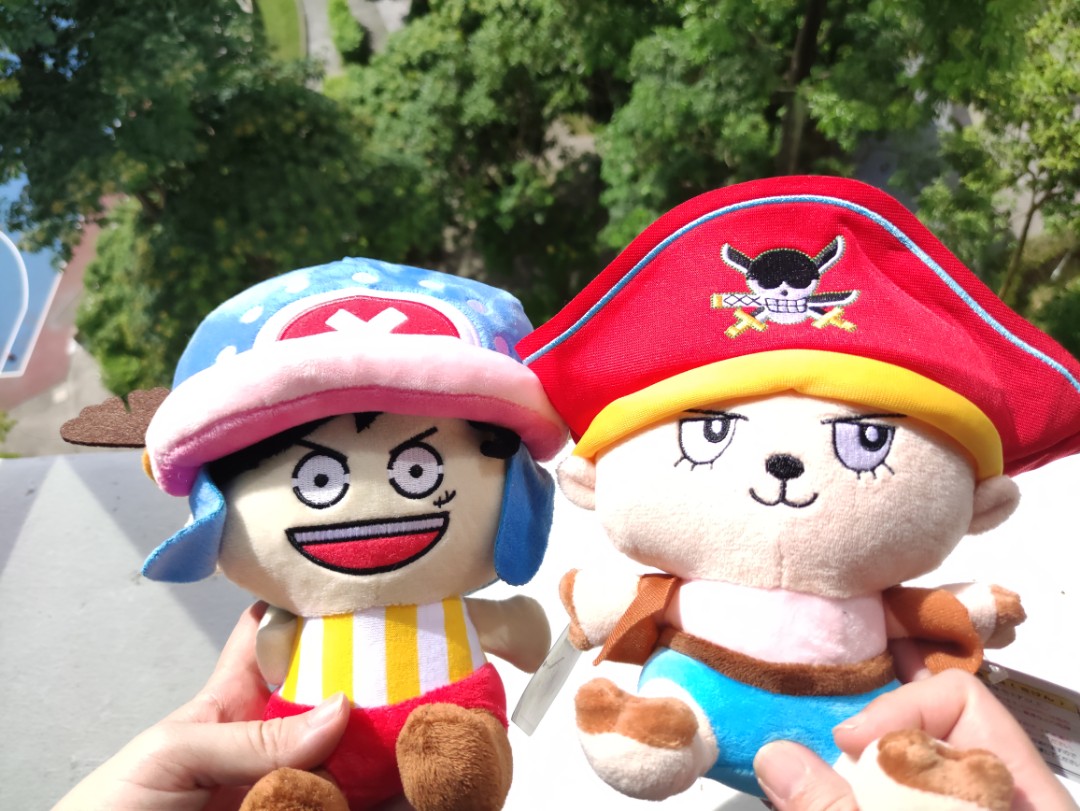 ONE PIECE - Tony Tony Chopper x Monkey D. Luffy, Hobbies & Toys, Toys ...