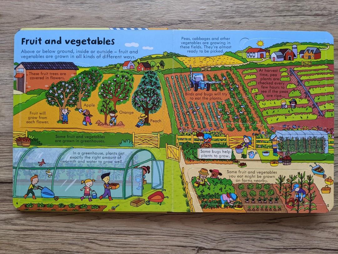 Usborne Look Inside - Food (hardcover flap book), Hobbies & Toys, Books ...