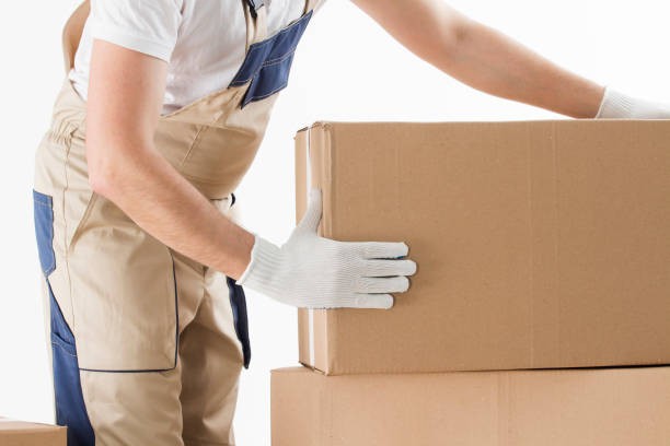 Warehouse packer, Jobs, Warehouse & Logistics on Carousell