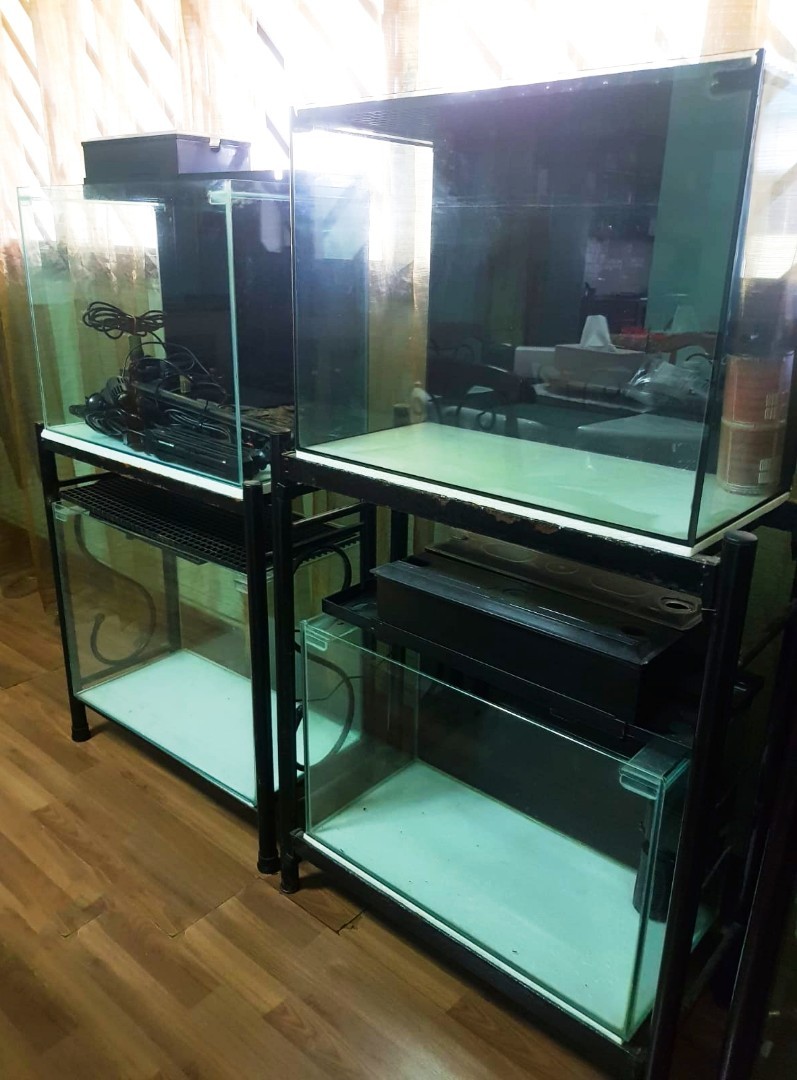 2ft Fish Tank, Pet Supplies, Homes & Other Pet Accessories on Carousell