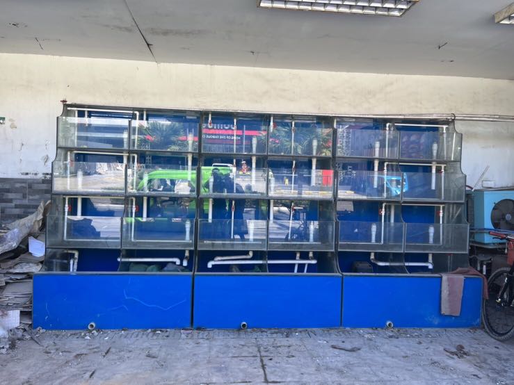 Commercial Supermarket Restaurant Display Live Seafood Storage Crab ...