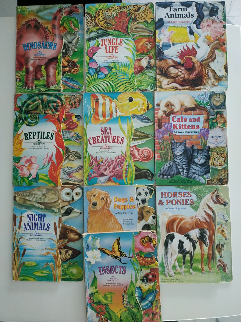 Preloved BIG board book at your fingertips, Hobbies & Toys, Books ...