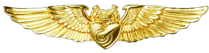 WTB: RSAF No. 3 Uniform Badges, Bulletin Board, Looking For on Carousell