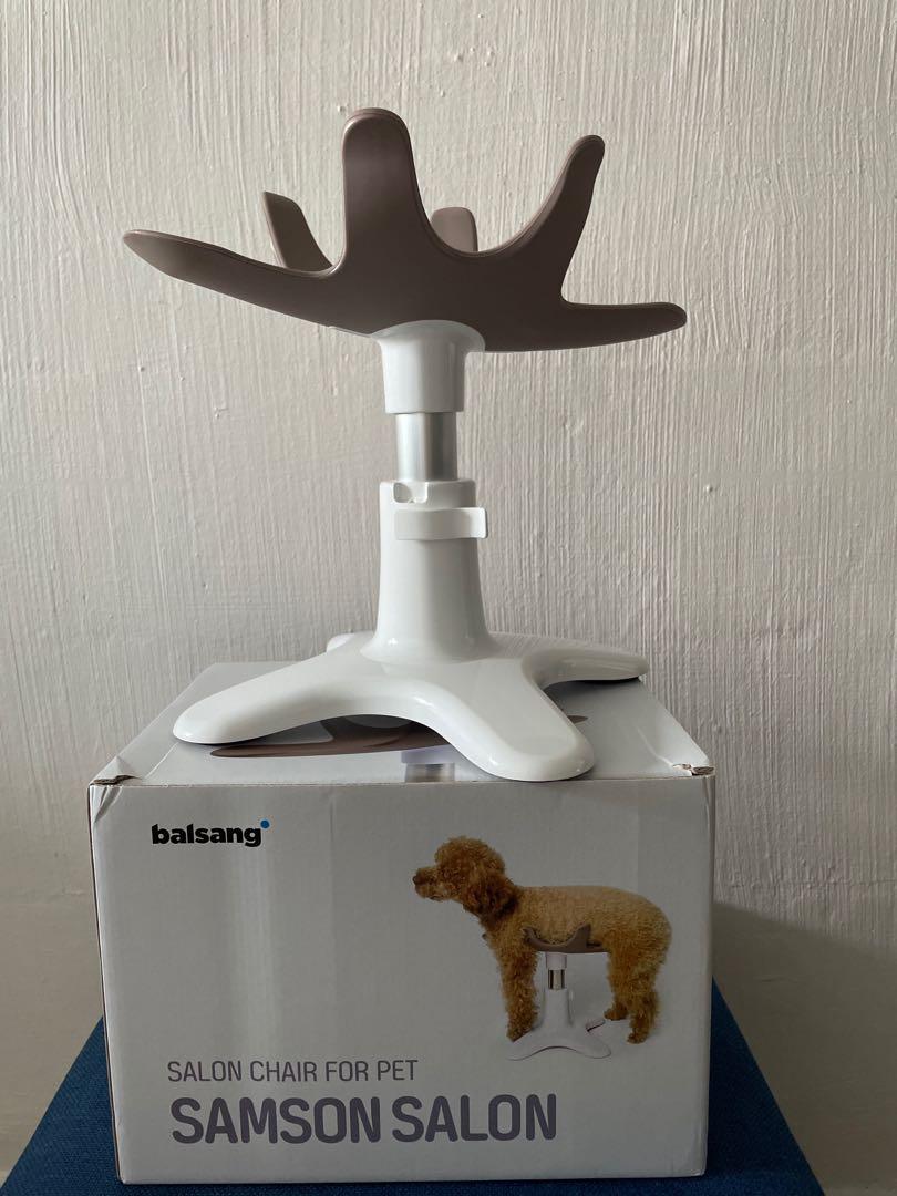 Balsang Samson salon / Pet chair for dog / Cut hair / Cut nails / Bathe ...