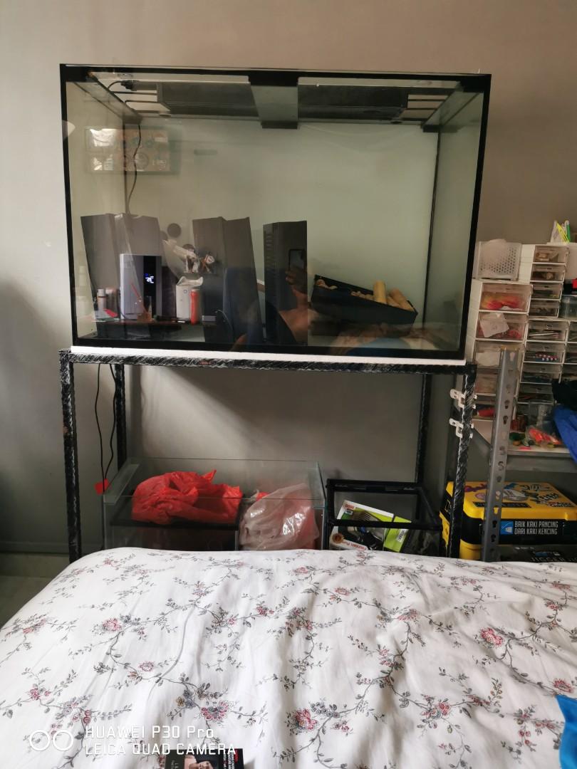 Fish tank (3ft x 2 ft x 2ft) & rack, Pet Supplies, Homes & Other Pet ...