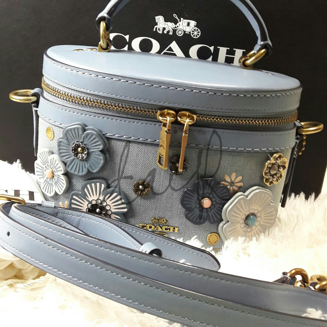 Coach Trail Bag in Tea Rose [LIMITED EDITION SPRING], Luxury, Bags ...