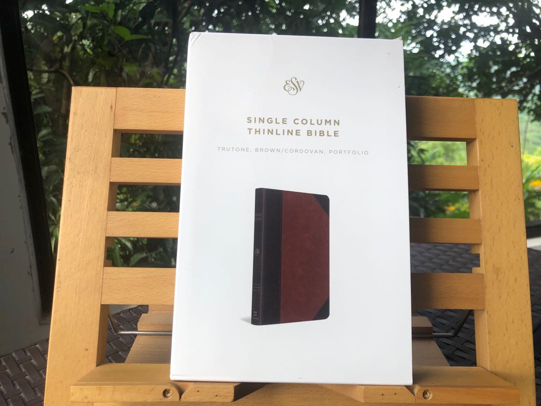 ESV Single Column Thinline Bible, Hobbies & Toys, Books & Magazines ...
