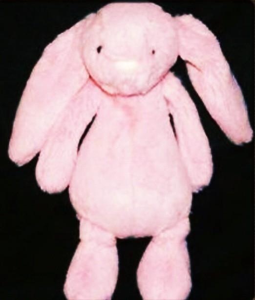 Jellycat Extra-Large size Pink Bunny, Hobbies & Toys, Toys & Games on ...