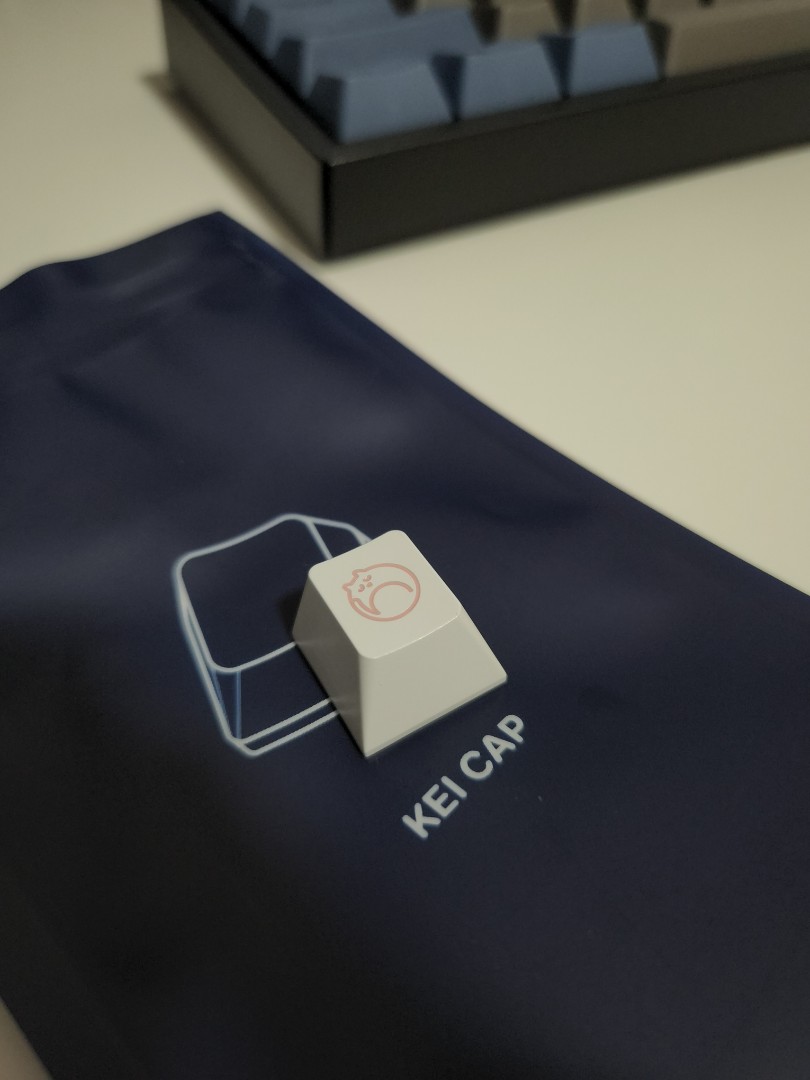 Monokei x Singa - Neko R1, Computers & Tech, Parts & Accessories ...