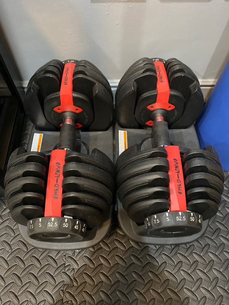 24 KG Adjustable Dumbbells (15 weight adjustments from 2.5kg to 24kg ...