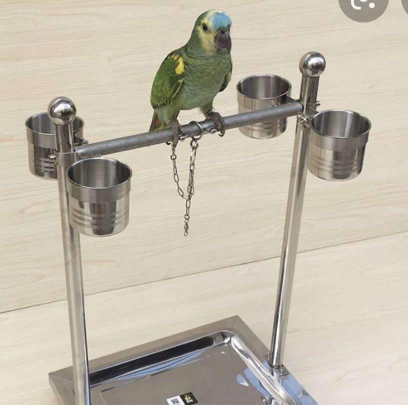 Stainless steel parrot stand, Pet Supplies, Homes & Other Pet ...
