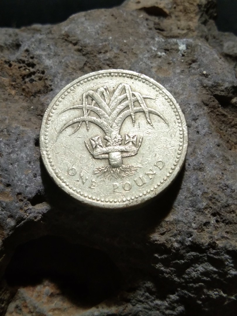 One pound 1985, Hobbies & Toys, Memorabilia & Collectibles, Currency on ...