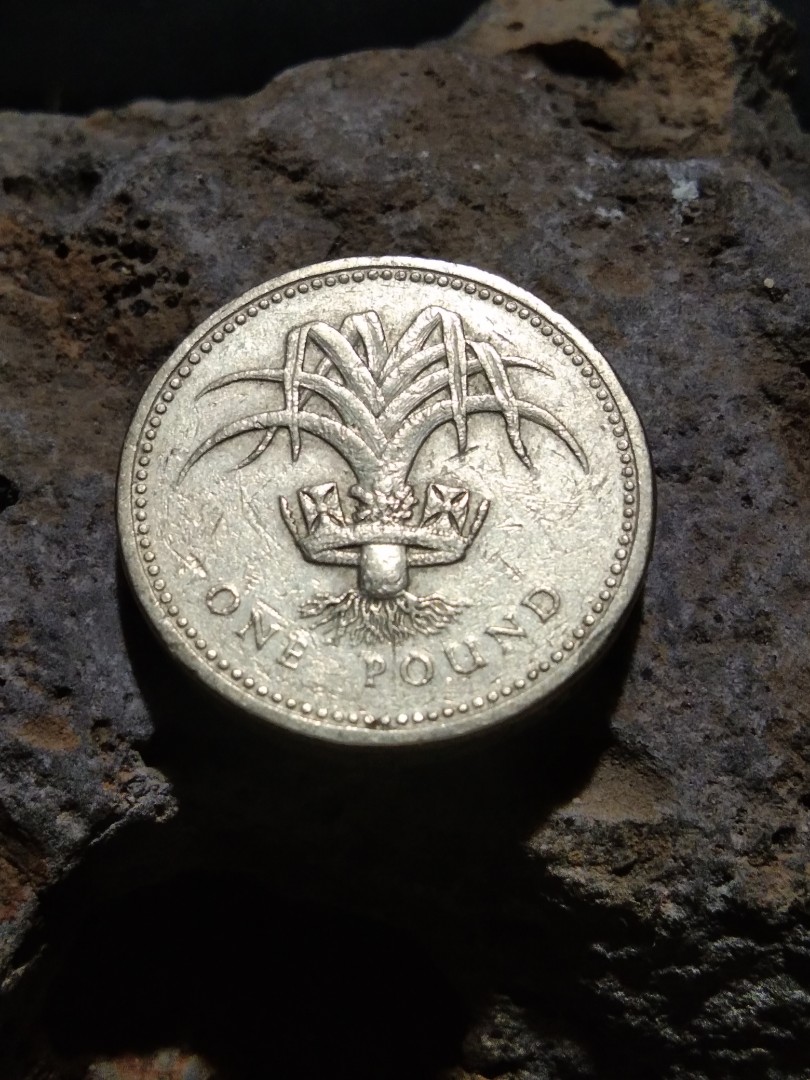 One pound 1985, Hobbies & Toys, Memorabilia & Collectibles, Currency on ...