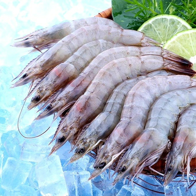 Prawn HOSO 30/40 per kg, Food & Drinks, Chilled & Frozen Food on Carousell